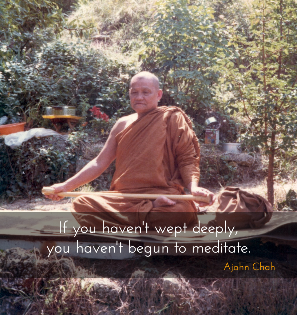 Weeping deeply ~ Ajahn Chah - Just Dharma