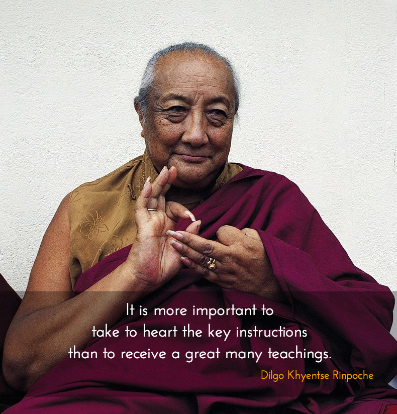 Taking to heart the key instructions ~ Dilgo Khyentse Rinpoche - Just ...