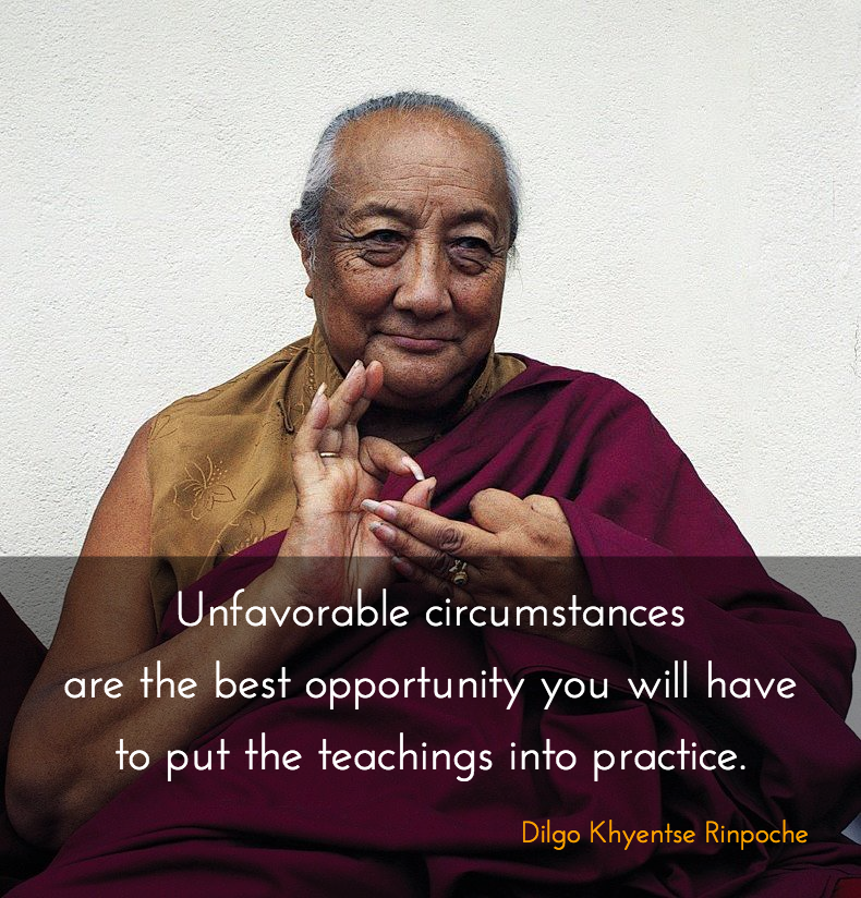 The best opportunity to put the teachings into practice ~ Dilgo ...