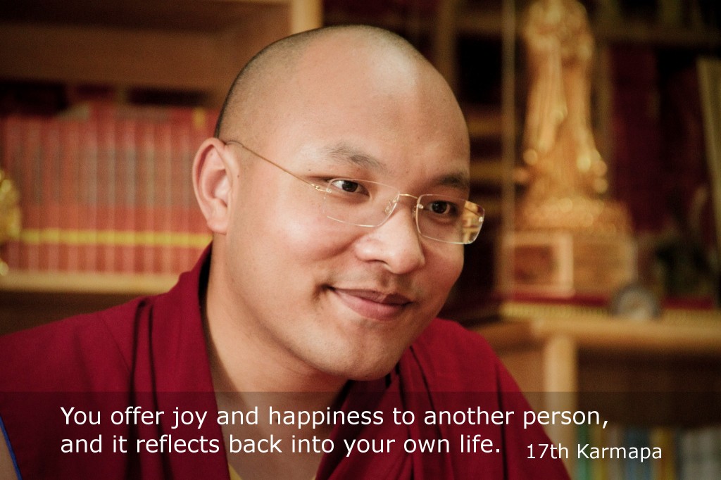 Joyful Reflections ~ 17th Karmapa - Just Dharma