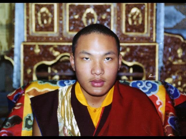 A Festival of the Field for Gathering Merit ~ 17th Karmapa - Just Dharma