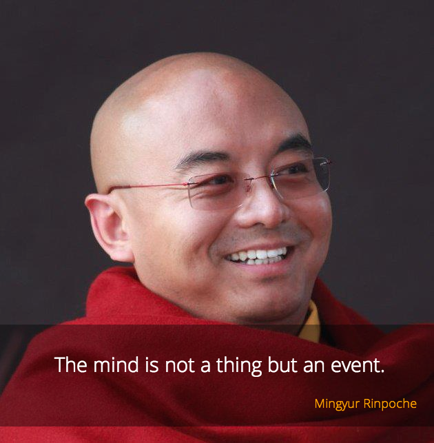 Mind Is An Event Mingyur Rinpoche Just Dharma