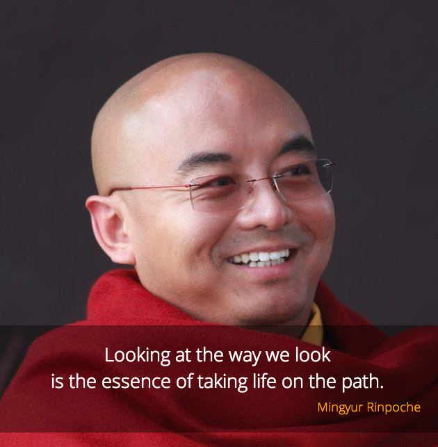 Taking life on the path ~ Mingyur Rinpoche - Just Dharma