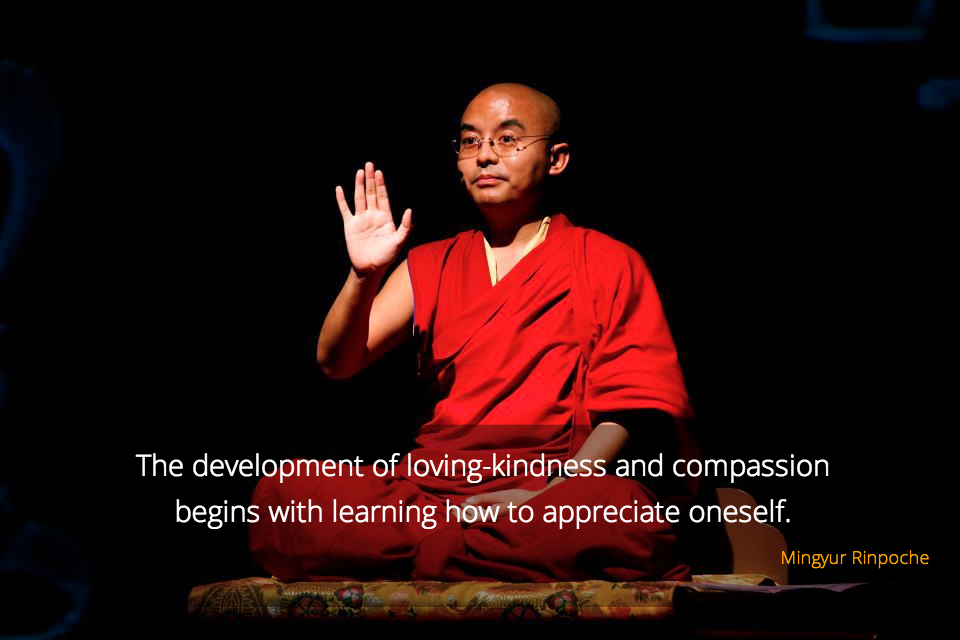 Learning How To Appreciate Oneself Mingyur Rinpoche Just Dharma