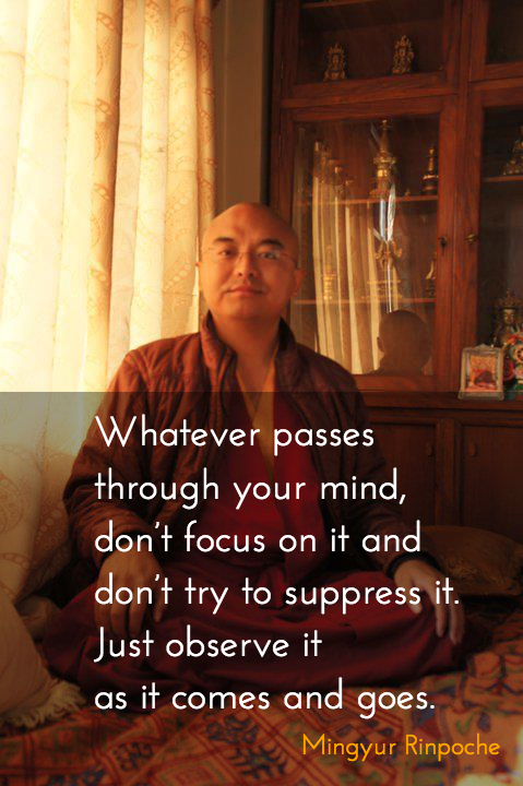 Just Observe It Mingyur Rinpoche Just Dharma
