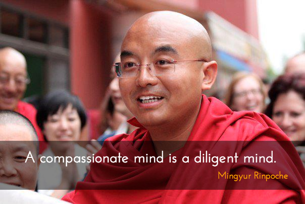 Compassion and diligence ~ Mingyur Rinpoche - Just Dharma