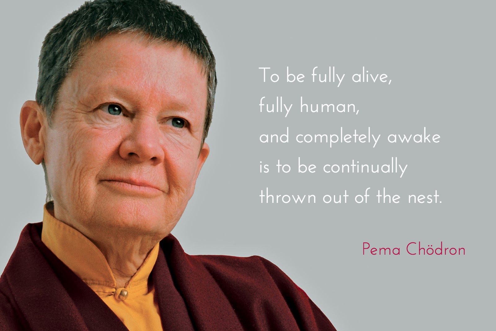 Fully alive ~ Pema Chödron - Just Dharma